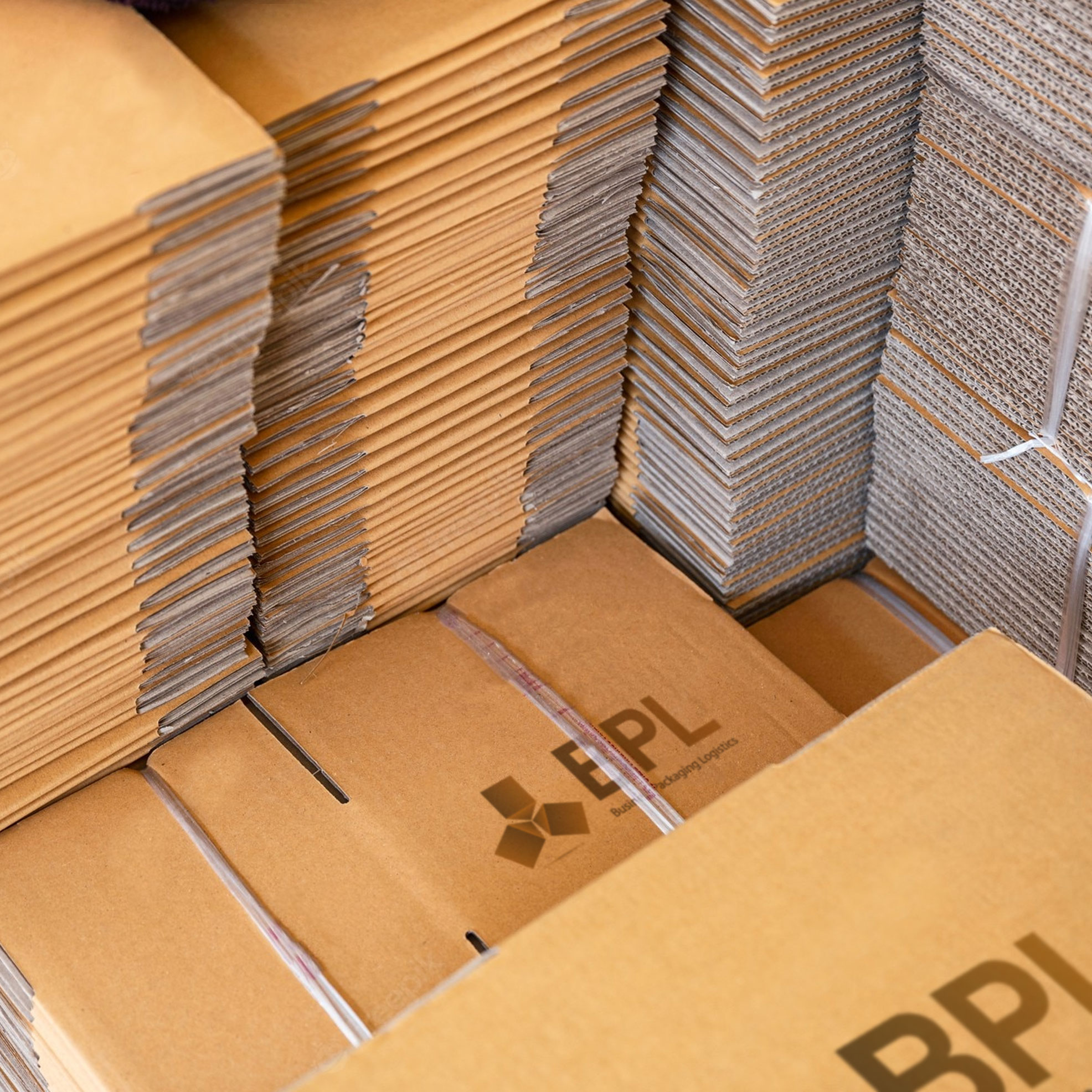 Nuestros servicios – BPL Business Packaging Logistics